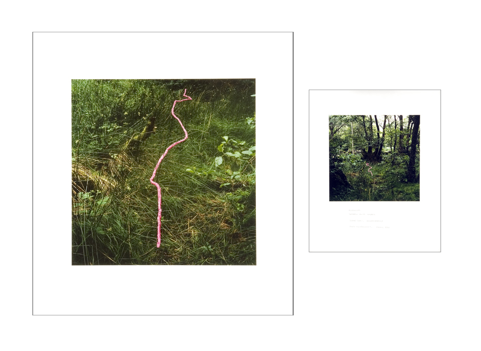 Andy Goldsworthy - artiste - Galerie Lelong & Co.