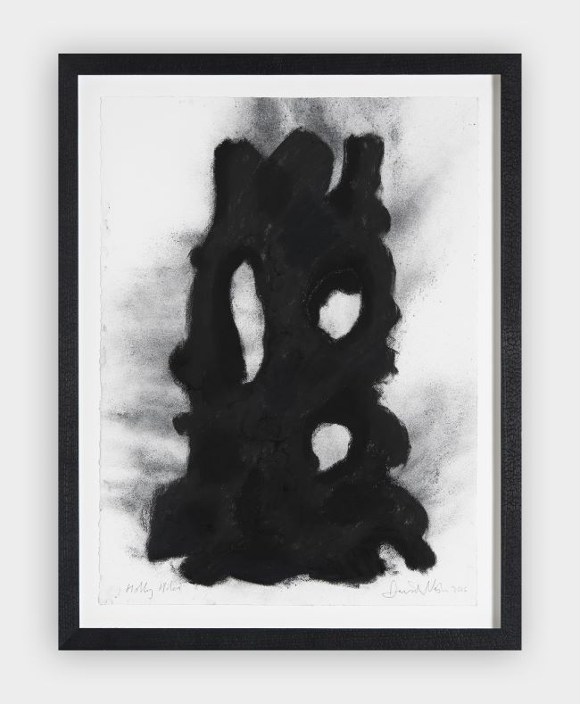 David Nash - artiste - Galerie Lelong & Co.