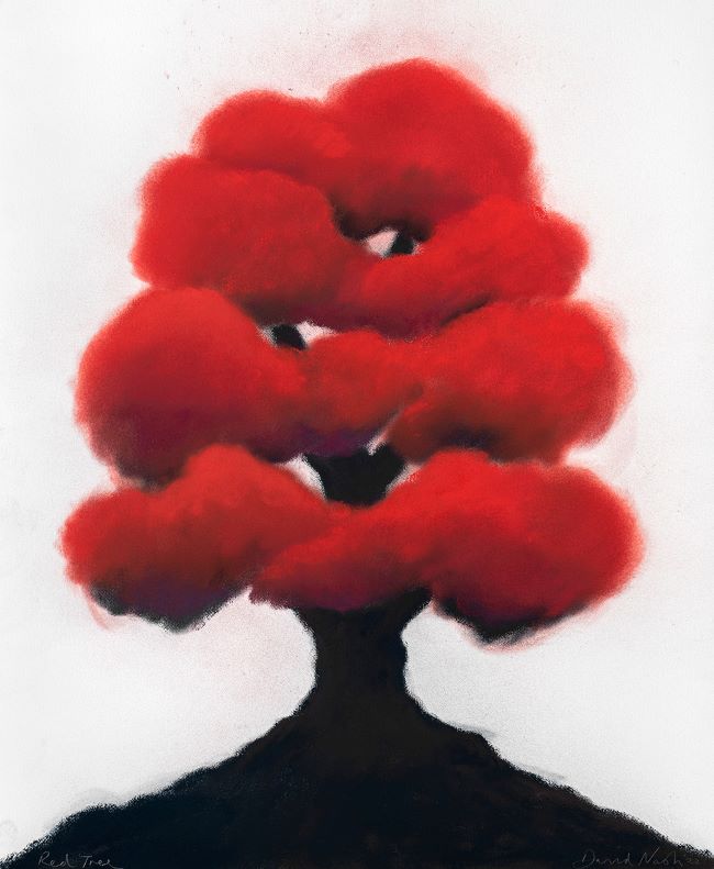 David Nash - artiste - Galerie Lelong & Co.