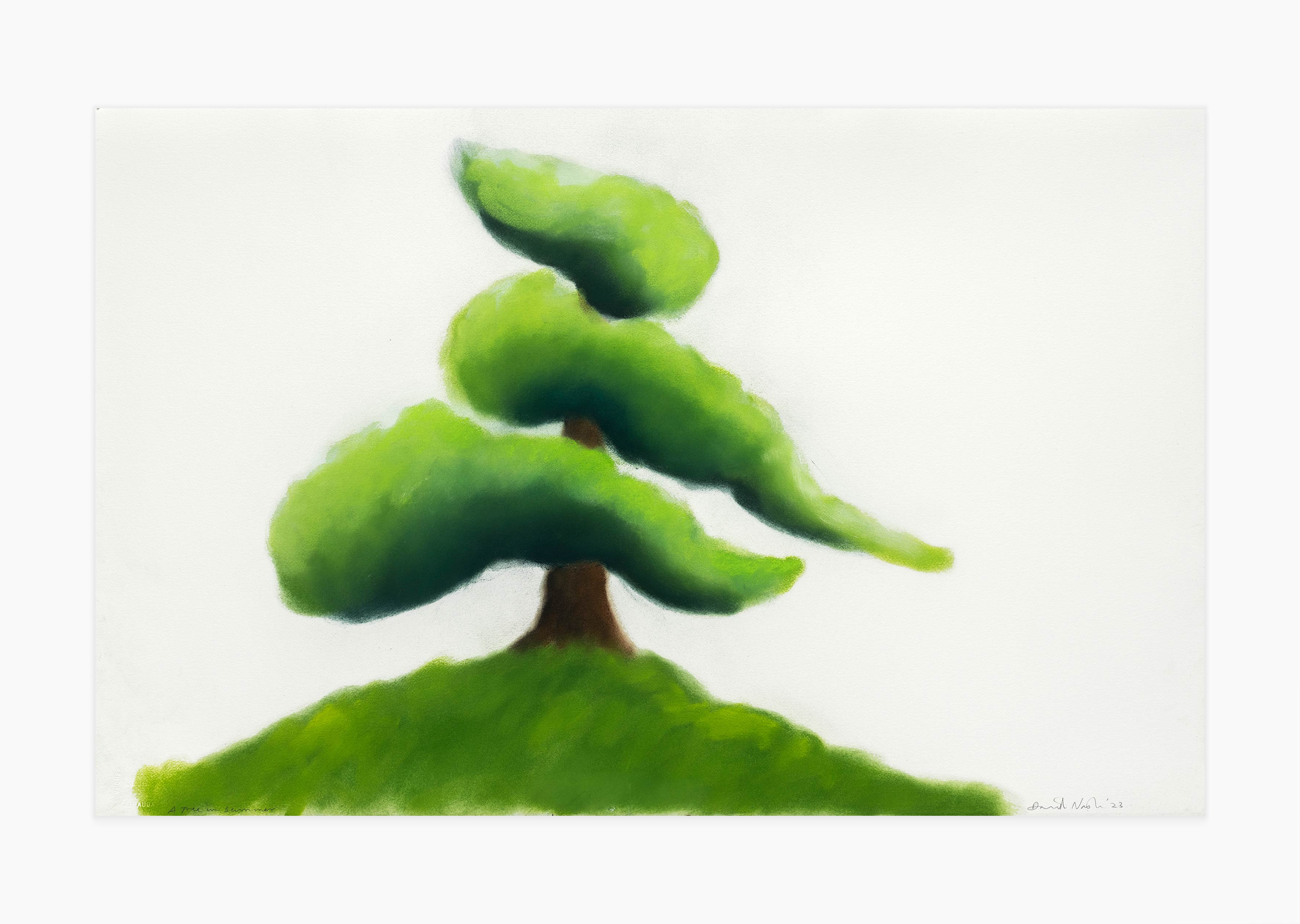 David Nash - artiste - Galerie Lelong & Co.